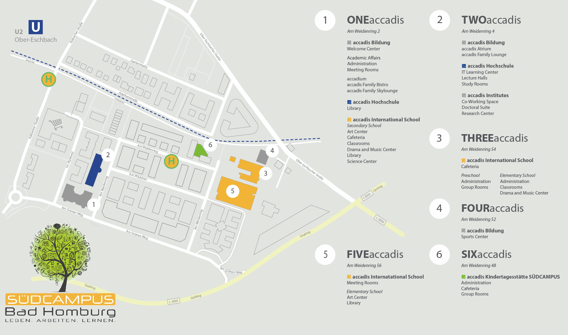 Außergewöhnlicher Campus in der Metropolregion - accadis Hochschule Bad ...